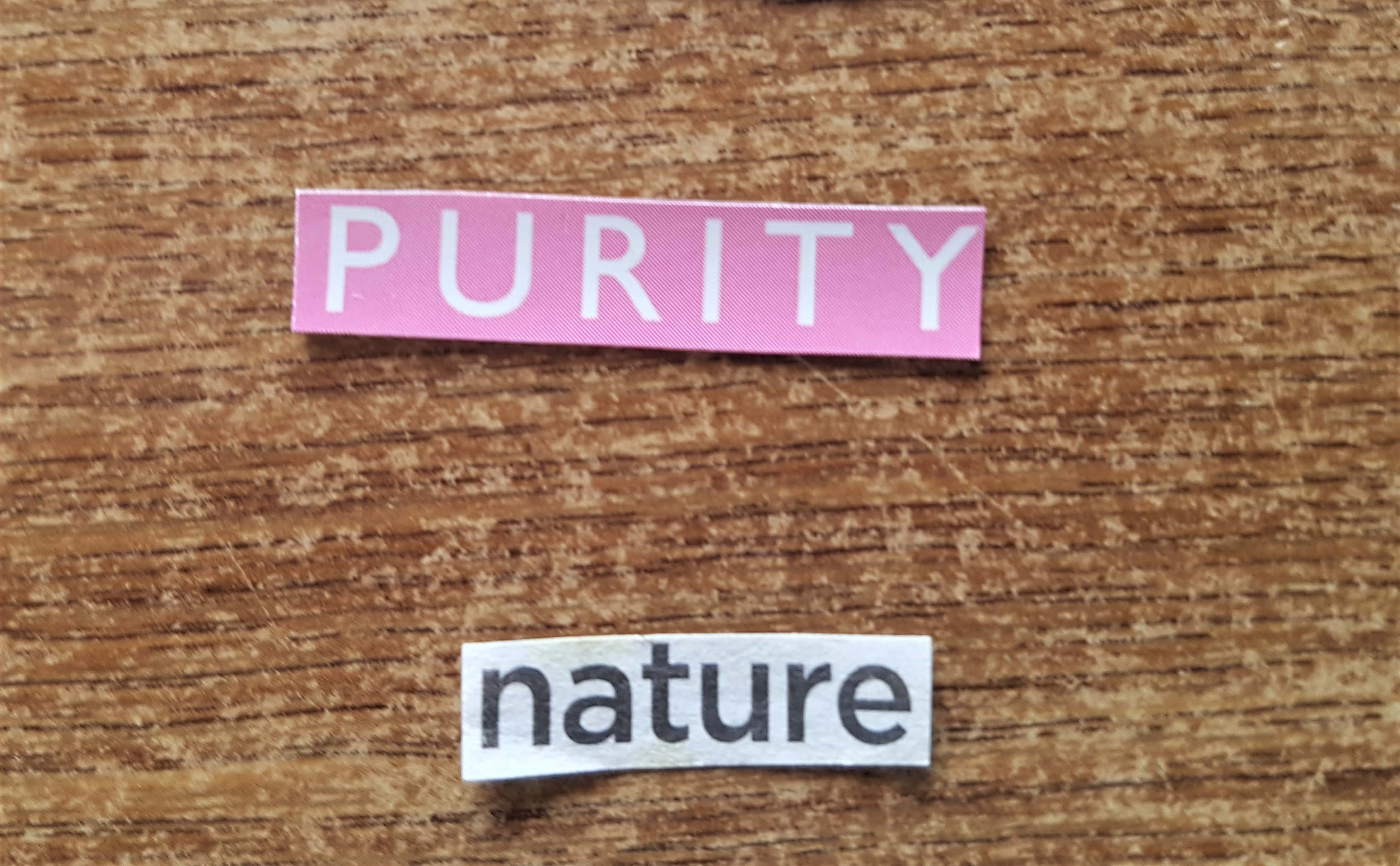 Scrapbook Layout Tutorial - thoughtfuldiycreations Fairy, Nature, Flowers